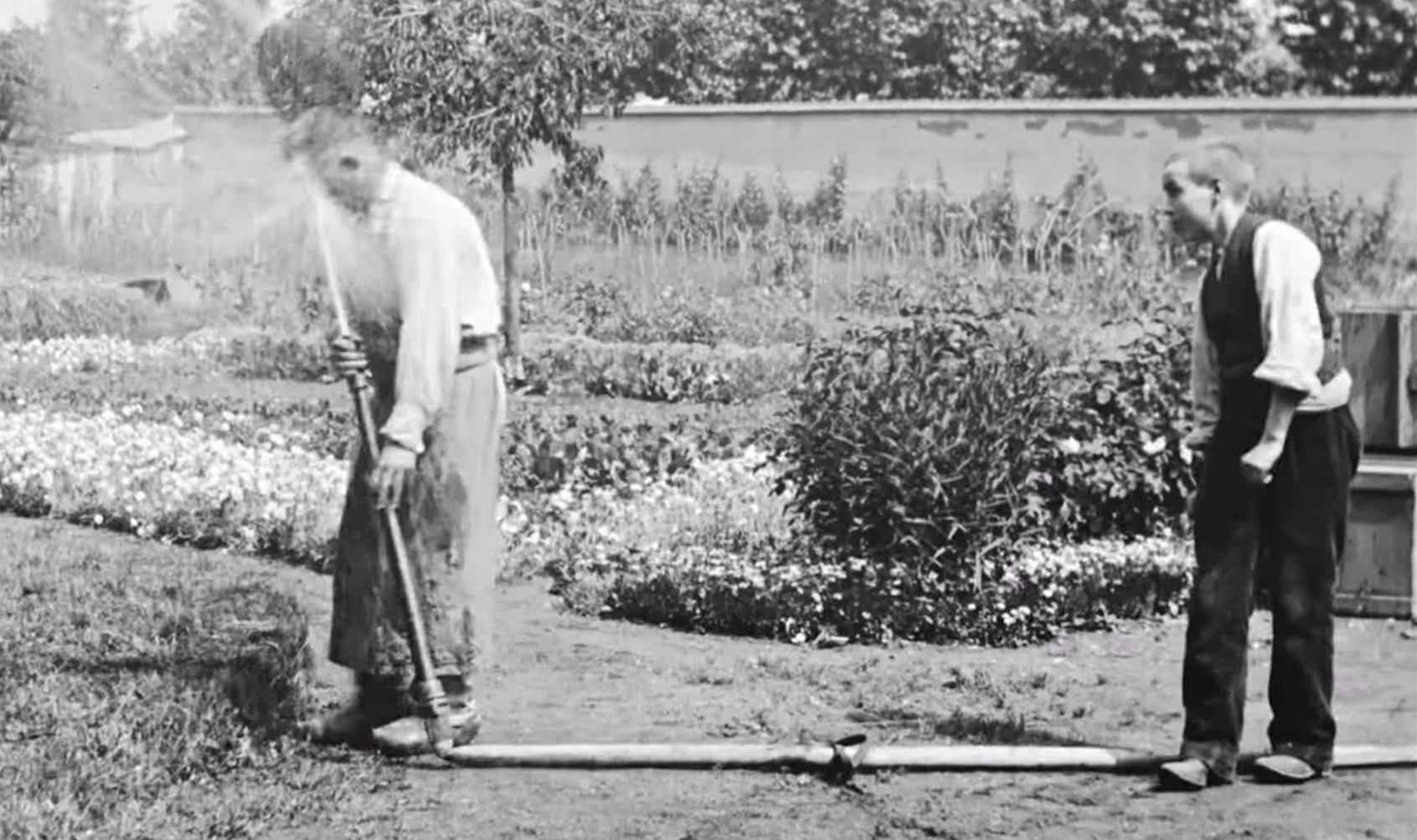The history of comedy - FIFCL